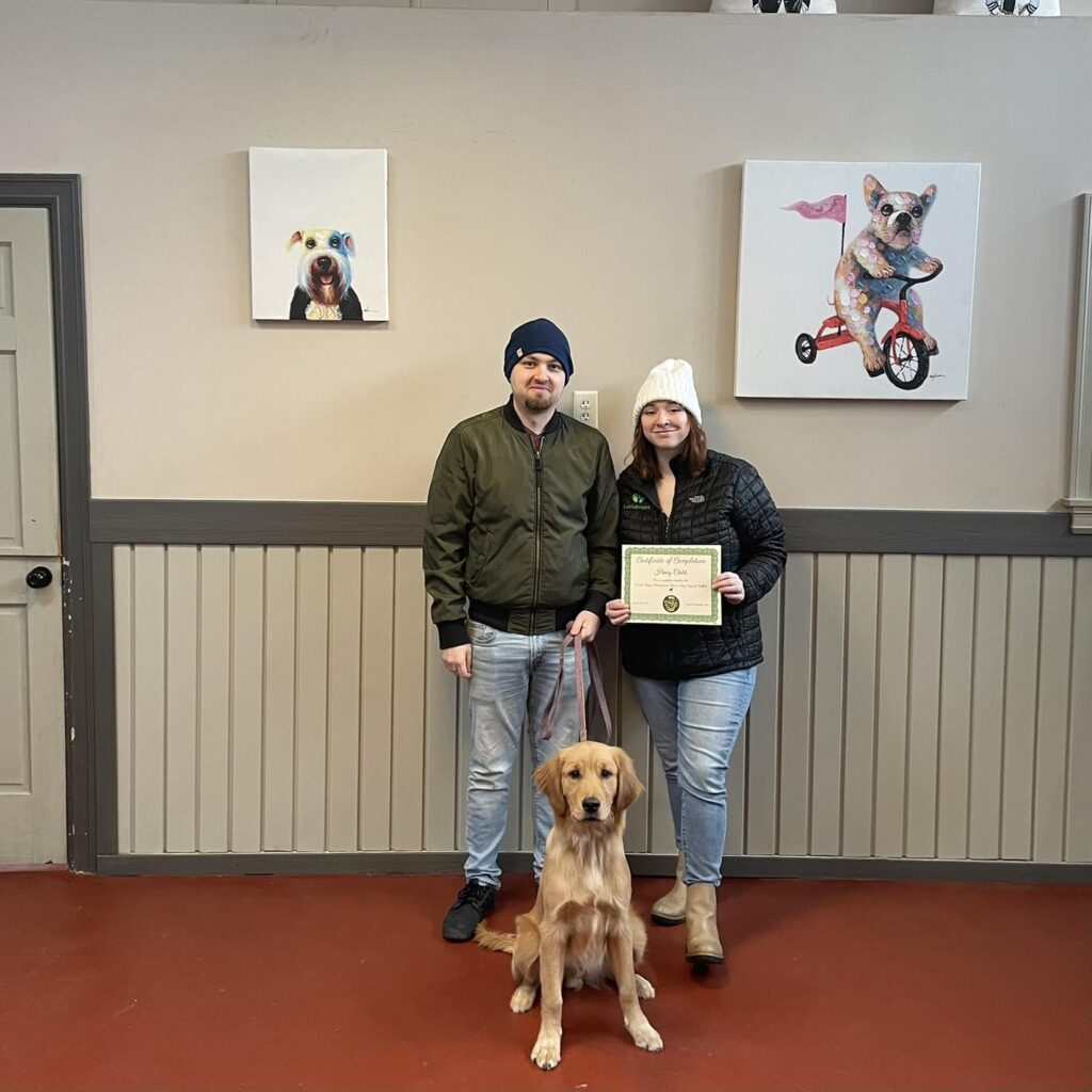 Gallery - Dog Days of Buffalo